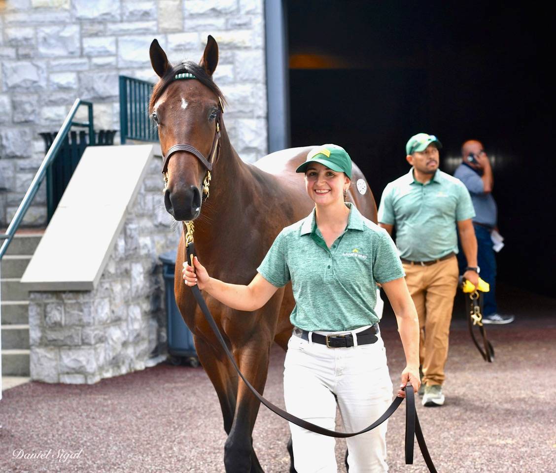 The Gerry Dilger Equine Scholarship Foundation