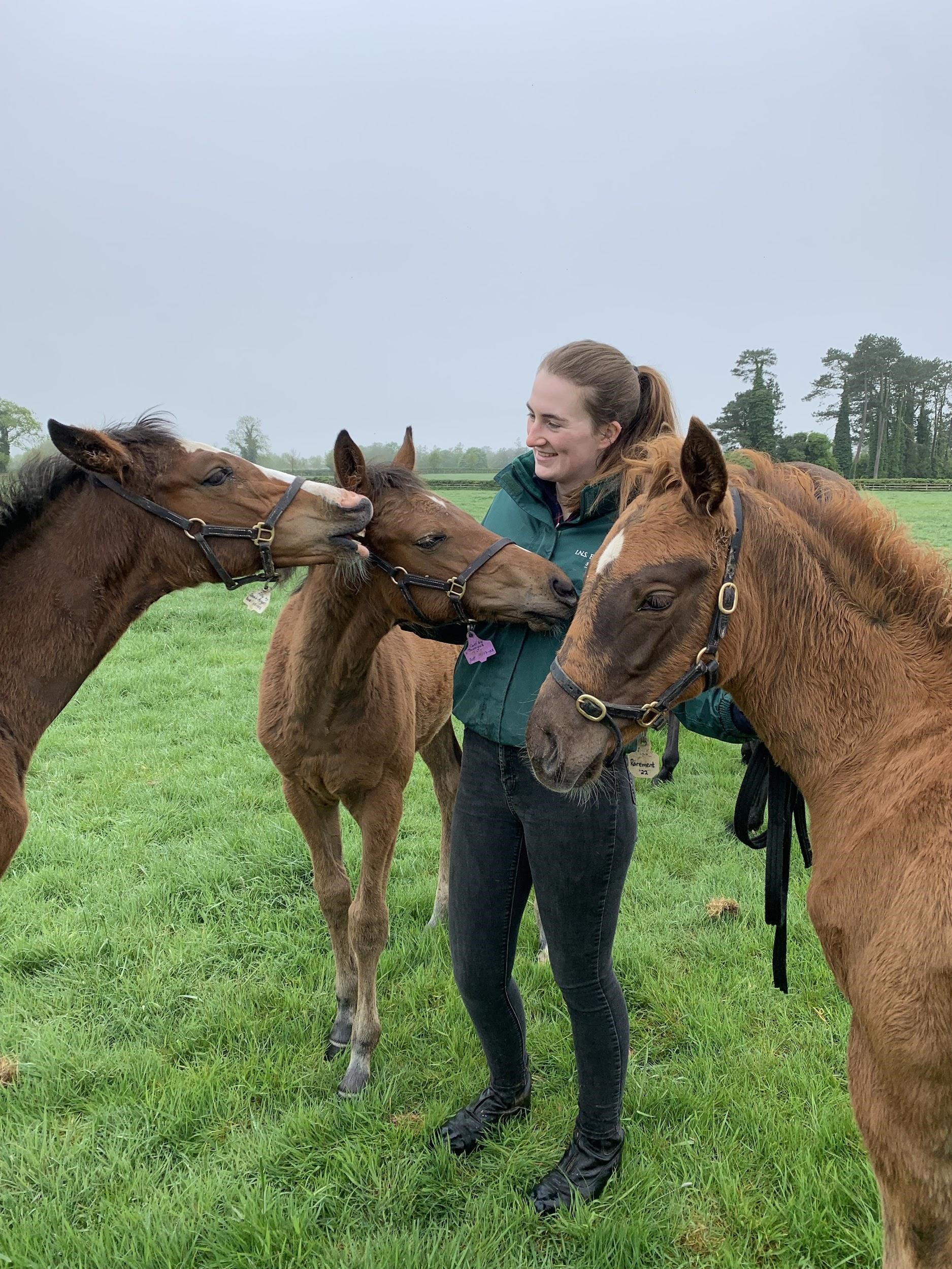 The Gerry Dilger Equine Scholarship Foundation